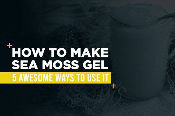 How To Make Sea Moss Gel: 5 Awesome Ways to Use It - Earthbal