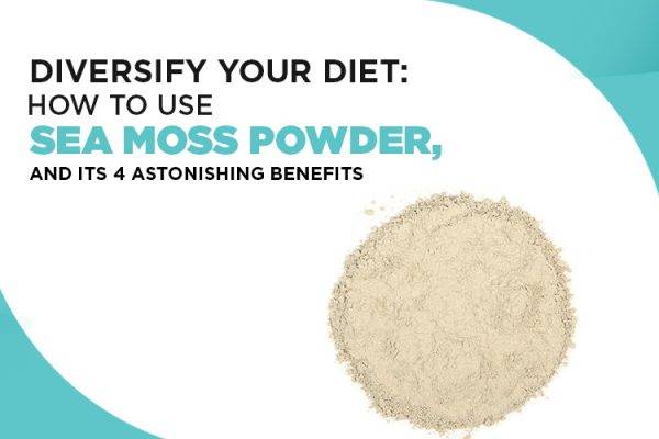 Diversify Your Diet: How to Use Sea Moss Powder, and its 4 Astonishing ...